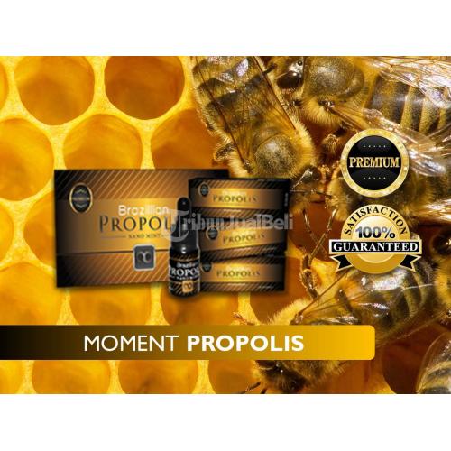 Produk kesehatan dan kecantikan Moment Propolis - Tribun JualBeli