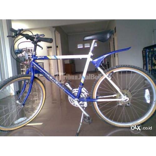 Sepeda Mtb 24 FEDERAL STALLION Seri MB20 normal - Tribun JualBeli