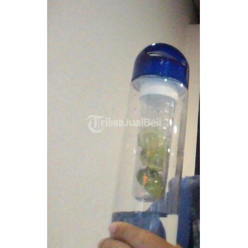 Citrus zinger botol minum kesehatan seperti tritan ada perasan sari ...