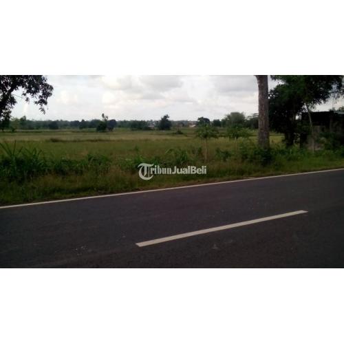 Tanah Sawah Pinggir Jalan Raya 30 x 42 M di Gresik - Tribun JualBeli