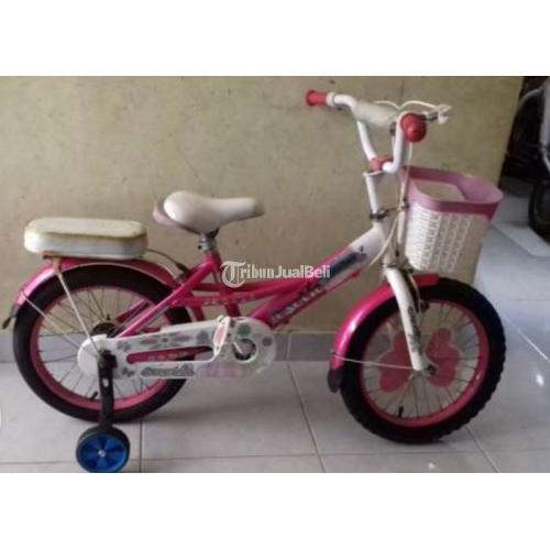 Sepeda Anak Bekas Merk Exotic Ukuran 16 Mulus Ban Tebal di Jakarta ...