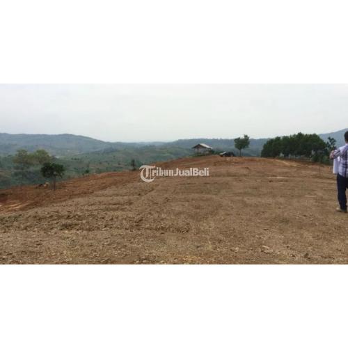 Tanah Kavling SHM LT 700 Meter Persegi Cocok untuk Villa / Resort Fasum ...