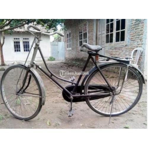 Sepeda Onthel Hercules Vintage Kebo Ladies Second Harga Murah di ...
