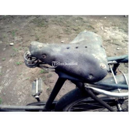 Sepeda Onthel Hercules Vintage Kebo Ladies Second Harga Murah di ...