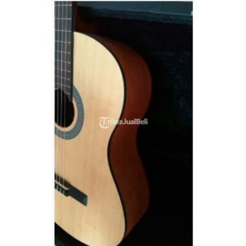 Gitar Akustik Klasik Nylon Merk Shelby Original Baru Suara Alus di ...