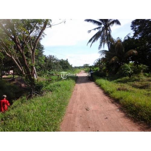 Tanah Strategis Tepi Jalan Raya di Jalan Trans Kalimantan LT 3750 Meter ...