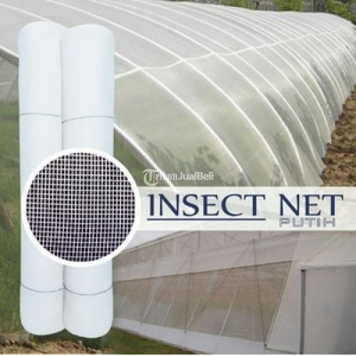 Insect Net / Insect Screen Warna Hijau & Putih Harga Murah di Sidoarjo ...