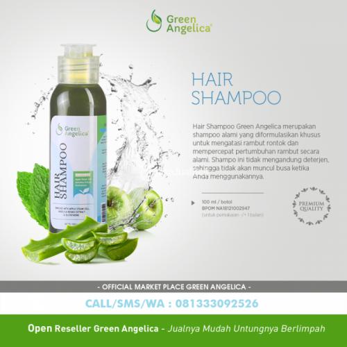 Shampo Herbal Atasi Rambut Rontok dan Ketombe Parah Green Angelica di ...