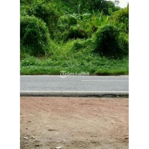 Tanah LT 500 Meter Persegi Siap Pakai Cocok untuk Investasi atau Tempat ...