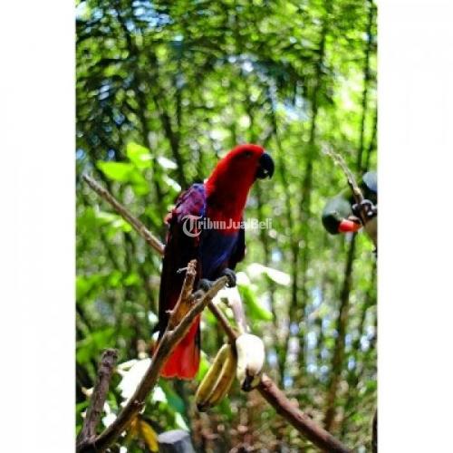 Kamera Canon EOS M 18di55mm + 22m f2.0 + Flash ex90 di Surabaya ...