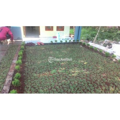 Rumah Minimalis & Ekonomis di Raya Inkopad Kalisuren di Bogor, Jawa ...