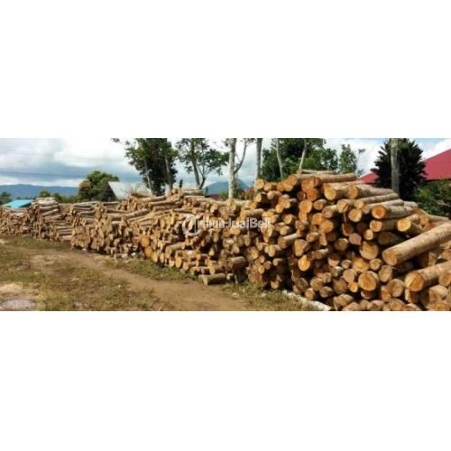 PT CITRA TRI KENCANA Kayu Gemor dan Kulit Kayu di Pontianak - Tribun ...