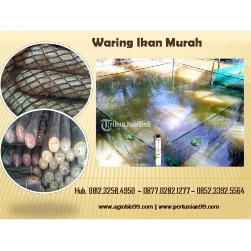 Waring Hitam Dari Nilon Lubang 0.5mm Cocok Bagi Kalian yang Ternak Ikan ...