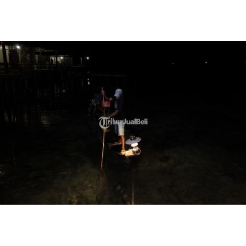 Lampu Petromax Lampu Nelayan Harga Murah di Manado - Tribun JualBeli Lampu Petromax Lampu Nelayan Harga Murah di Manado - Tribun JualBeli