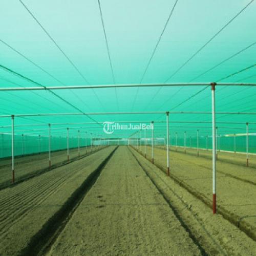 Insect Net Warna Hijau Berkualitas Sangat Fleksibel di Sidoarjo ...