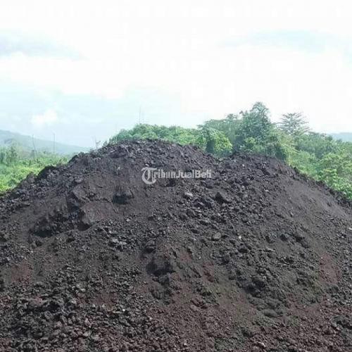 Raw Material Aspal Buton di Buton Sulawesi Tenggara - Tribun JualBeli