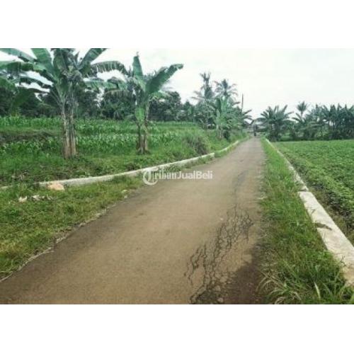 Tanah Murah & Luas View Sangat Asri Lokasi di Tapos Tenjolaya Ciapus di ...