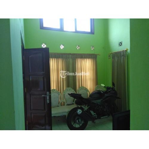 Jual Rumah Murah di Griya Shanta Eksekutif Strategis Siap Huni di Malang - Tribun JualBeli