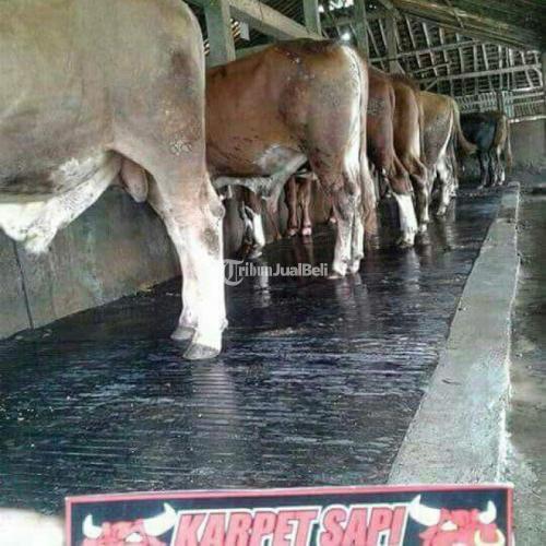 Karpet Sapi Supranusa Motif Widerib/Microrib di Sragen, Jawa Tengah ...
