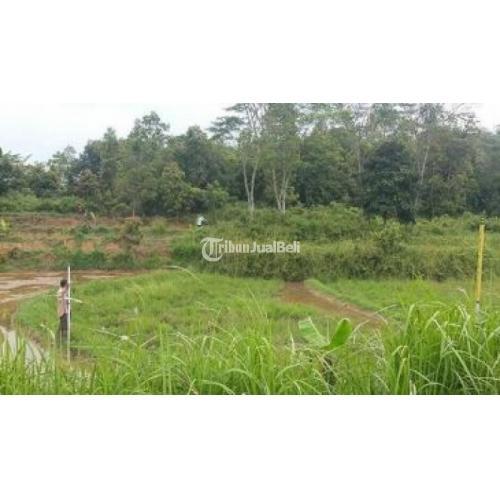 Jual Tanah Darat di Daerah Rumpin Siap Bangun Harga Bisa Nego di Bogor ...