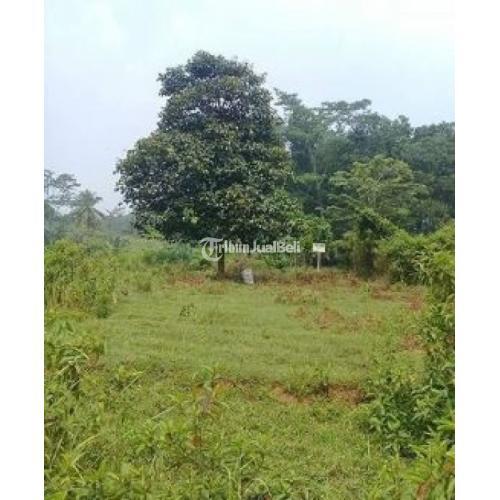 Jual Tanah Darat di Daerah Rumpin Siap Bangun Harga Bisa Nego di Bogor ...