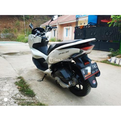 Honda Pcx Warna Putih Motor Bekas Bagus Mulus Pajak Panjang Harga Nego ...