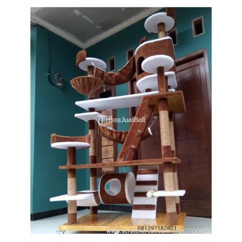 Mainan Kucing, Cat Condo, Cat Scratcher di Jakarta Selatan - Tribun ...