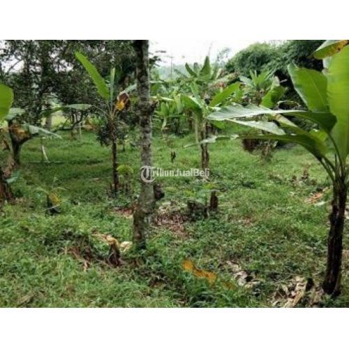 Jual Tanah di Daerah Rumpin Harga Nego Siap Bangun Cocok untuk ...