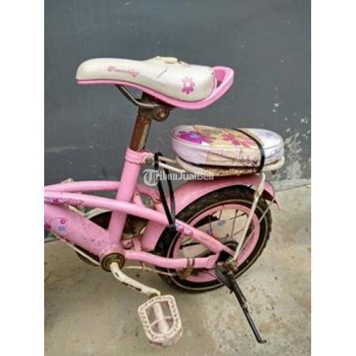 Sepeda Anak Murah Warna Pink Normal Terawat Harga Nego di Balikpapan ...