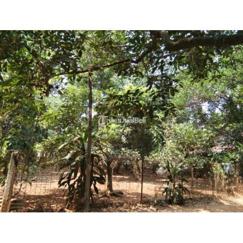 Tanah Daerah Jonggol LT.275m2 di Kampung Ceger Desa Sukamaju di Bogor ...