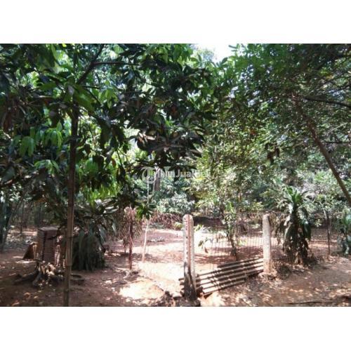 Tanah Daerah Jonggol LT.275m2 di Kampung Ceger Desa Sukamaju di Bogor ...