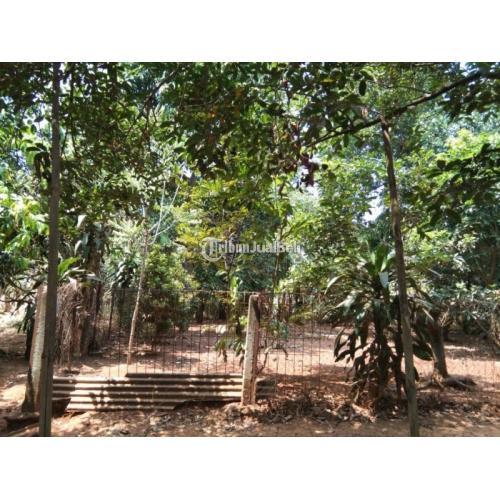 Tanah Daerah Jonggol LT.275m2 di Kampung Ceger Desa Sukamaju di Bogor ...