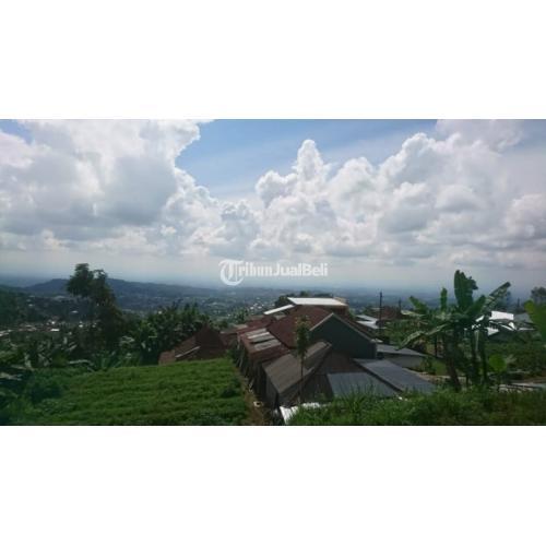 Dijua Tanah 500m2 View Bukit Kebun Teh Kemuning Ngargoyoso di ...