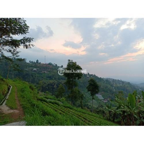 Dijua Tanah 500m2 View Bukit Kebun Teh Kemuning Ngargoyoso di ...