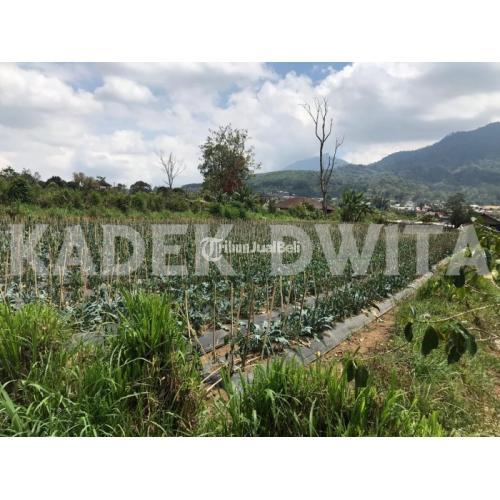 Tanah Hawa Sejuk Pancasari View Golf Bali Handara Bedugul di Bali ...