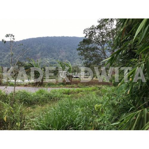 Tanah Hawa Sejuk Pancasari View Golf Bali Handara Bedugul di Bali ...
