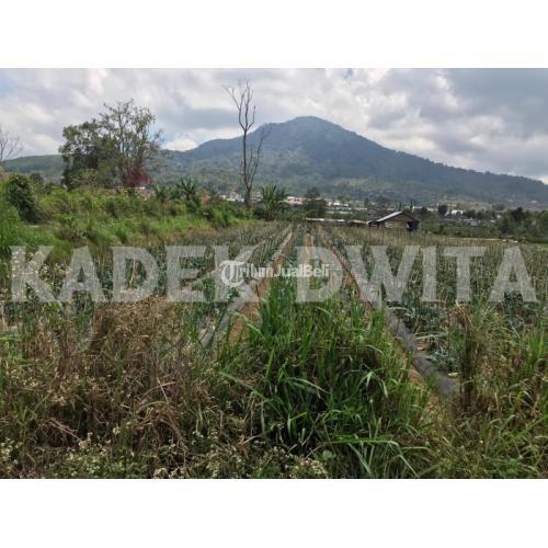 Tanah Hawa Sejuk Pancasari View Golf Bali Handara Bedugul di Bali ...