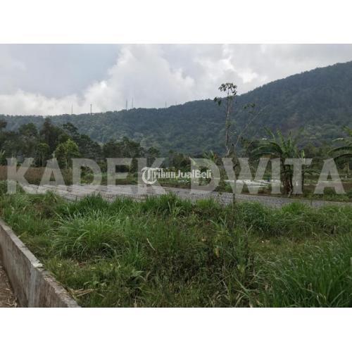 Tanah Hawa Sejuk Pancasari View Golf Bali Handara Bedugul di Bali ...