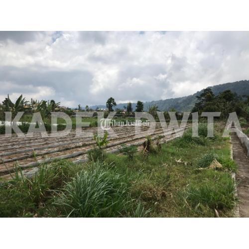 Tanah Hawa Sejuk Pancasari View Golf Bali Handara Bedugul di Bali ...