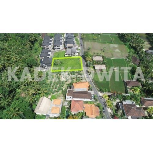 Dijual Tanah 8 are SHM Nego di Jalan Utama Tirta Tawar Junjungan Ubud ...