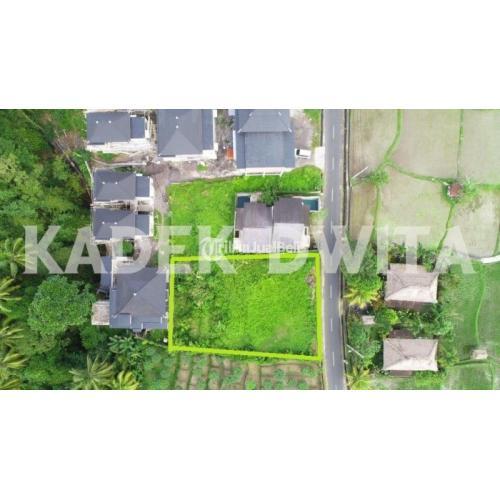 Dijual Tanah 8 are SHM Nego di Jalan Utama Tirta Tawar Junjungan Ubud ...