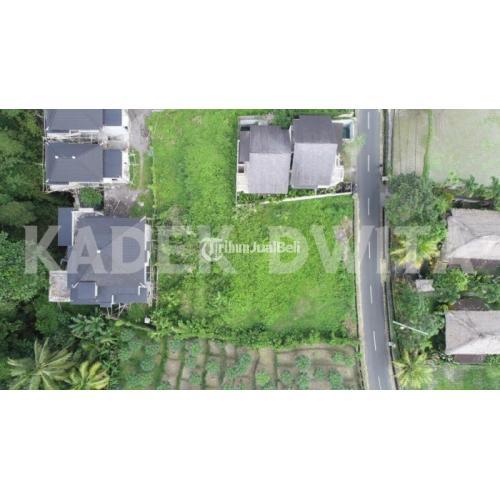Dijual Tanah 8 are SHM Nego di Jalan Utama Tirta Tawar Junjungan Ubud ...