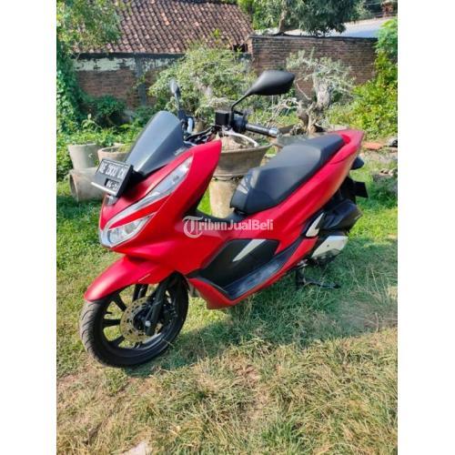 Motor Honda PCX Bekas Tahun 2019 Harga Rp 26,3 Juta Matic Murah Lengkap ...