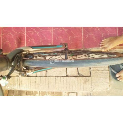 Sepeda Polygon Strattos S1 Bekas Harga Rp 4 Juta Roadbike Murah Normal ...