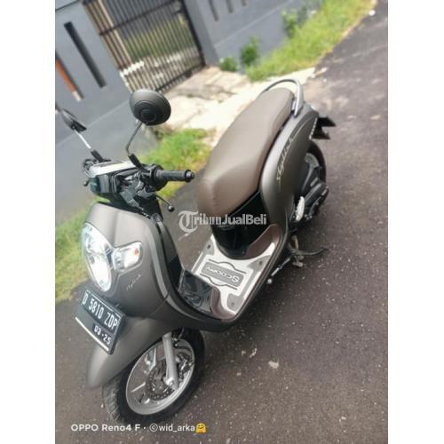 Scoopy 2020 store