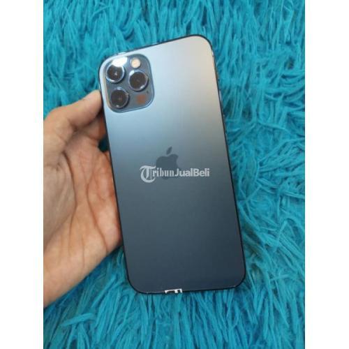 HP iPhone 12 Pro 256GB Warna Pasific Blue Bekas Fullset Normal di ...