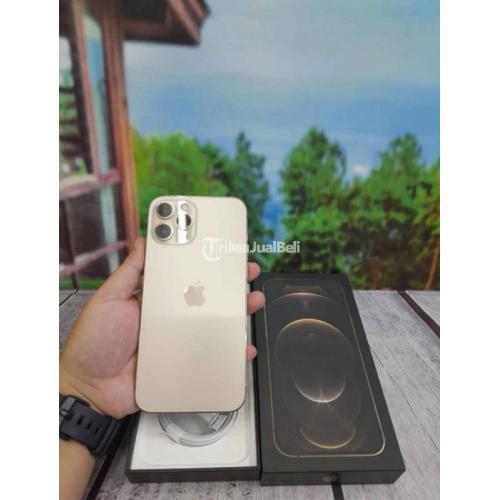 HP Apple iPhone 12 Pro Max 256GB Bekas Fullset Nominus di Jakarta Barat ...