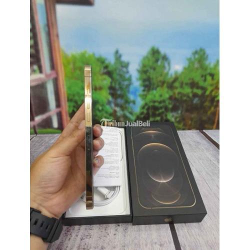 HP Apple iPhone 12 Pro Max 256GB Bekas Fullset Nominus di Jakarta Barat ...
