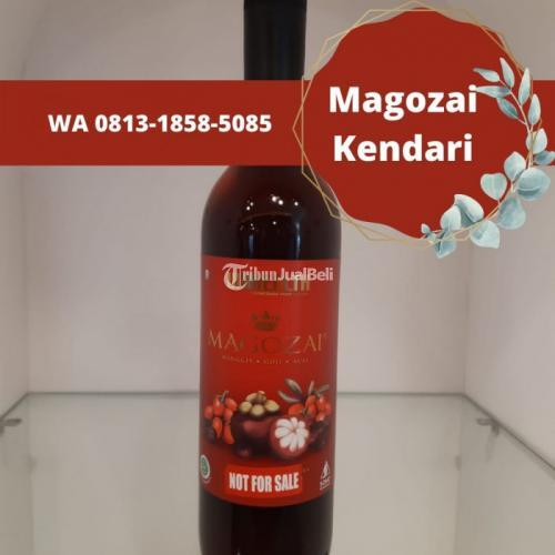 Distributor Resmi Magozai Kendari di Depok - Tribun JualBeli