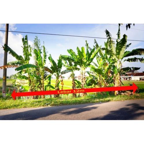 Dijual Tanah Sukoharjo Tepi Jl.Dr. Supomo 70m Selatan Perum Cahaya ...